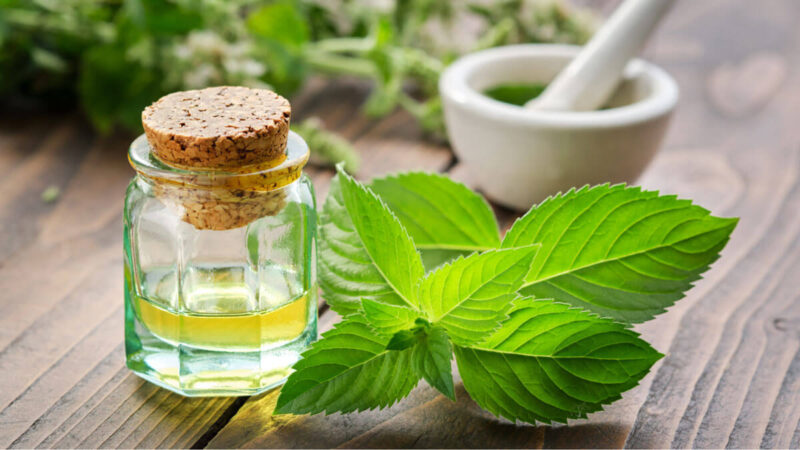 6 Ways Herbs Help With Digestion and Gut Health